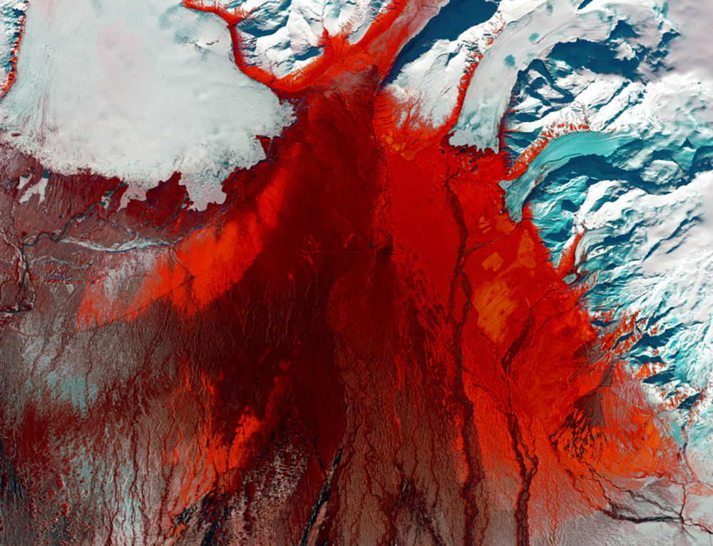 VivoMega Omega-3 concentrates by GC Rieber VivoMega AS