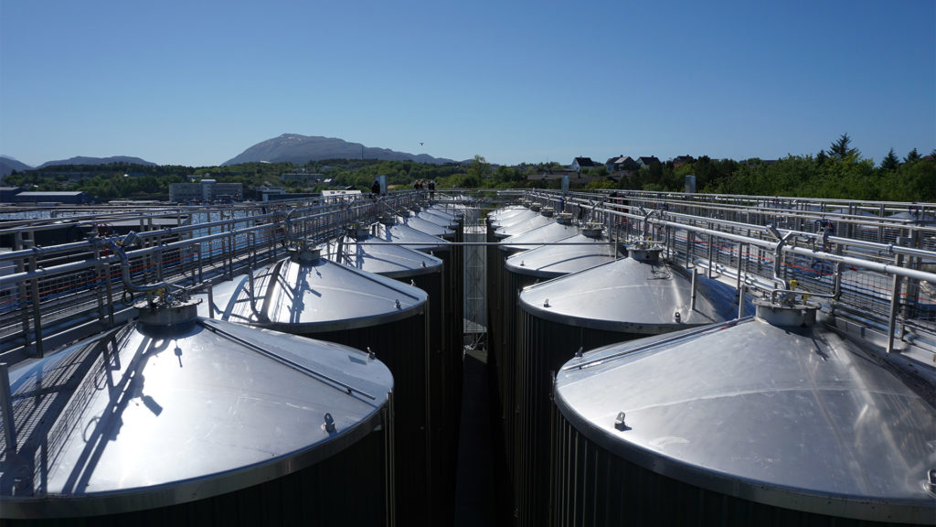 Why VivoMega - VivoMega omega-3 fish oils - GC Rieber